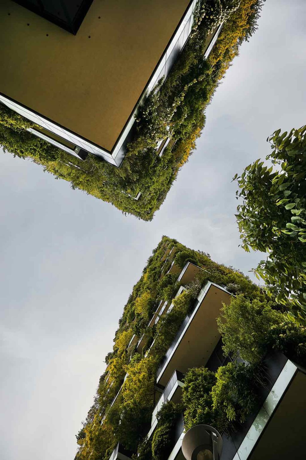 Biomimicry in Design: 7 Incredible Buildings Inspired by Nature | ABI ...