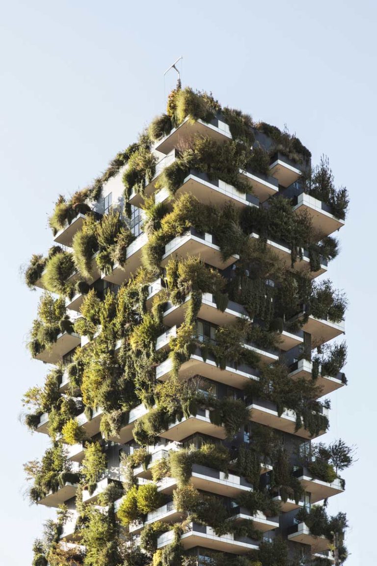 Biomimicry in Design: 7 Incredible Buildings Inspired by Nature | ABI ...